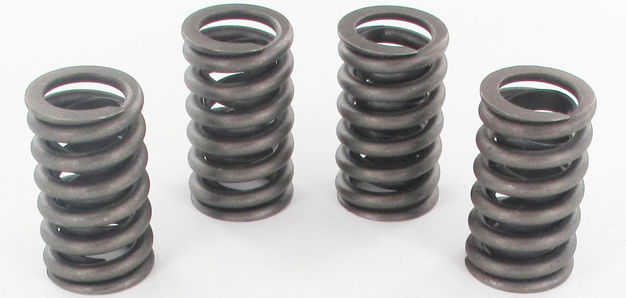 RV-1253XS | Valve Spring | Engine Part